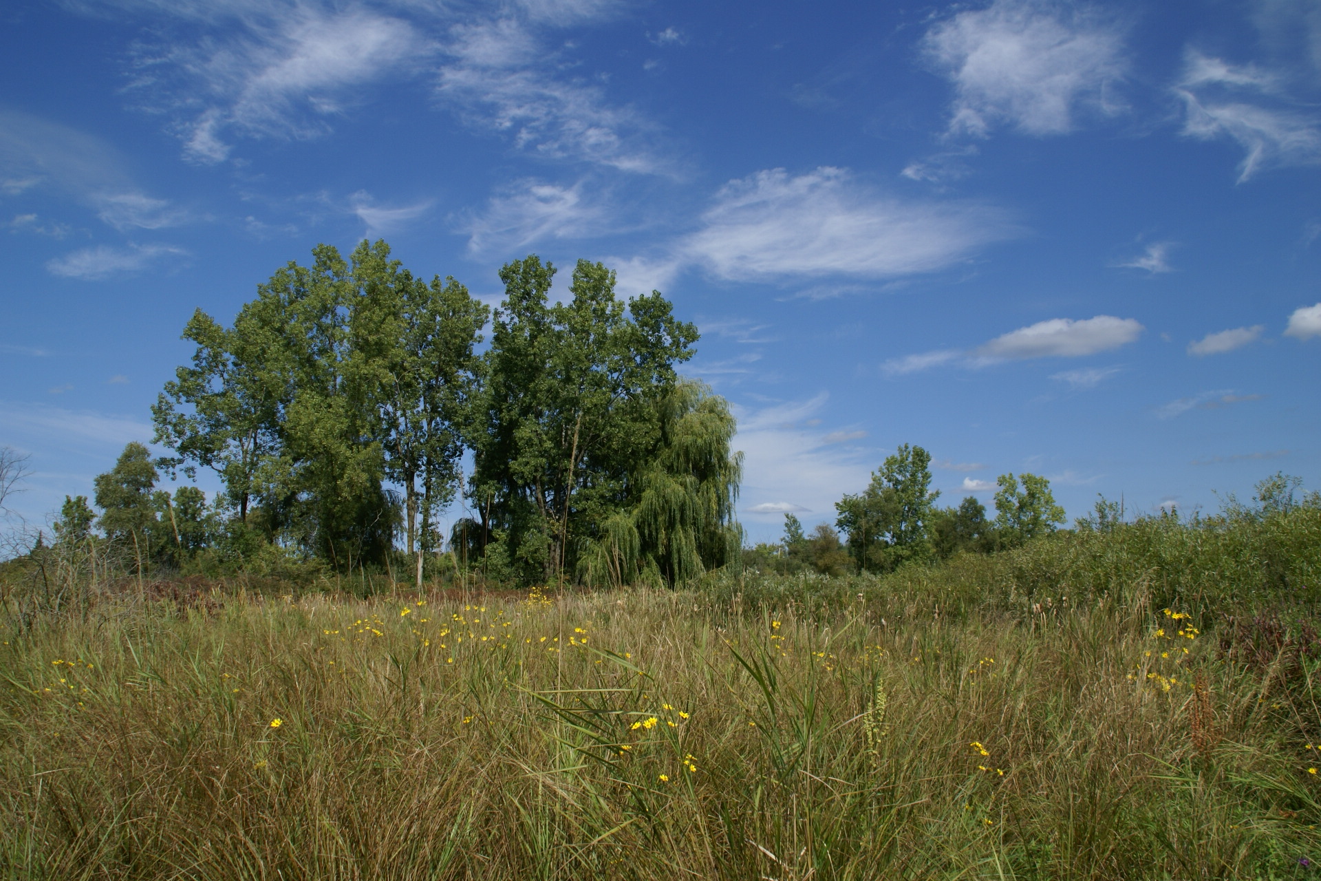Logan Lakes Nature Preserve | Livingston Land Conservancy